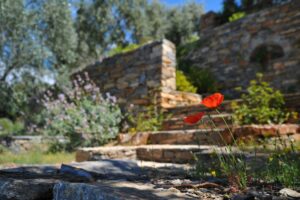 Safety and Aesthetics: Tips for Landscaping Around Your Wellhead ...